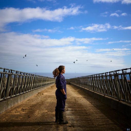 rui5 – Filamentos (artes e letras)